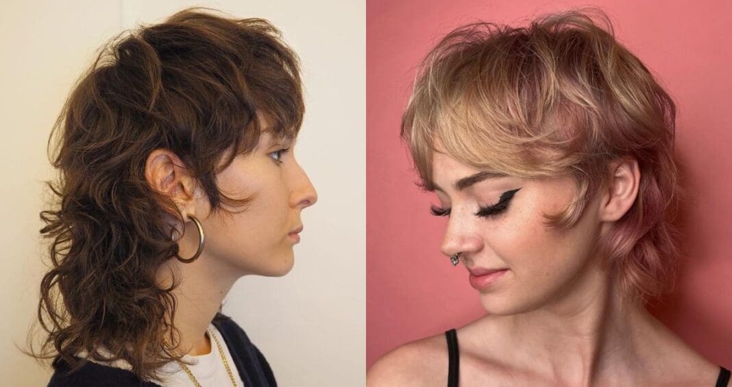 32 Stunning Shaggy Mullet Hairstyle Inspirations | HAIRS