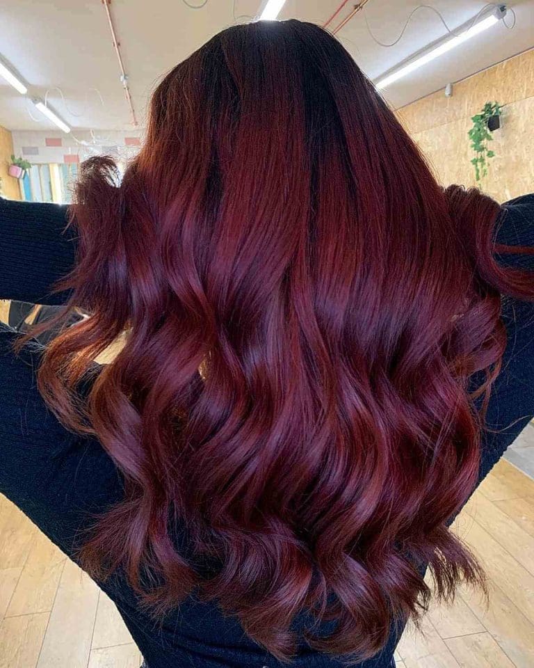 32 Vibrant Plum Hair Color Looks for 2025