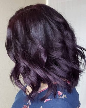 32 Vibrant Plum Hair Color Looks for 2025