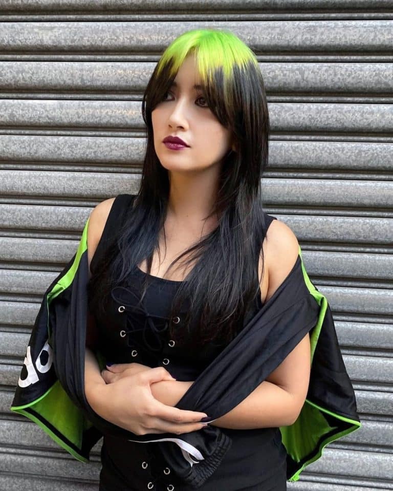 25 Stunning Hair Colors from Light to Dark